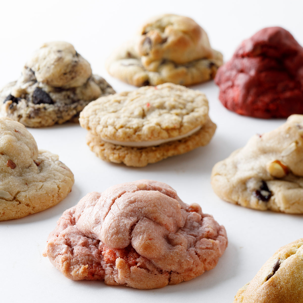 Gourmet Chocolate - Cocoa Dolce Chocolates